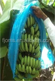 OMS Banana Bunch Covers - Durable & Translucent PE Bags