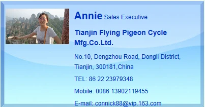 26" Popular Coaster Brake Cruise Beach Bike For Men (fp-bb16003) - Buy ...