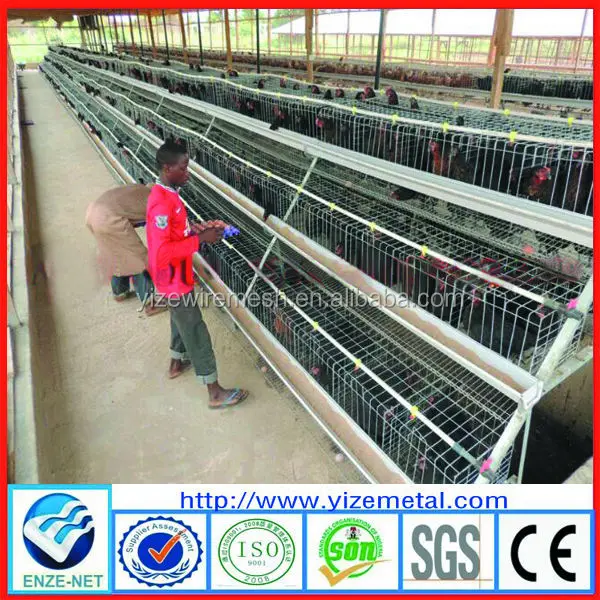China Manufacturer Chicken Duck Cages As Farm Equipment /galvanized Or ...