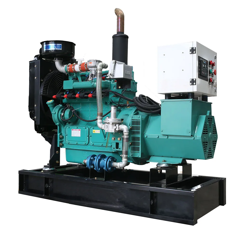 CNG LNG Power Electric 15kw 20kva Water Cooled Generator