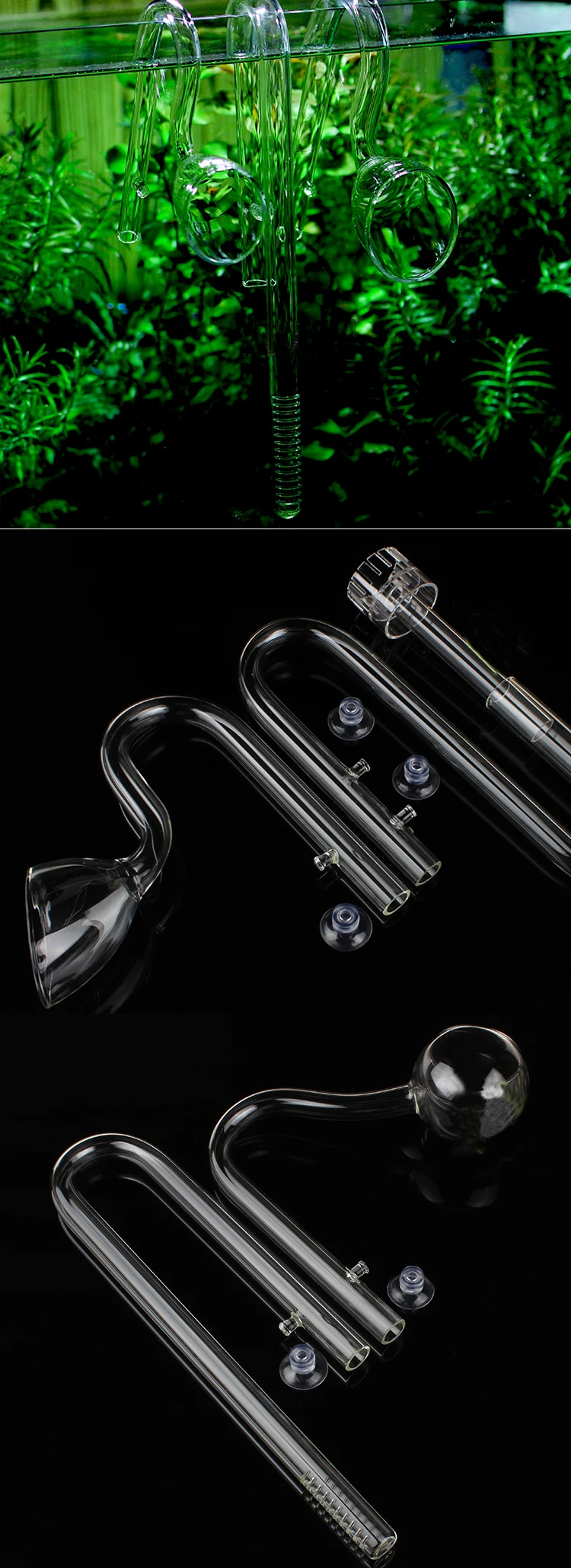 Glass Outflow & Inflow Live Water Plants Aquarium Lily Pipe - Buy Lily ...