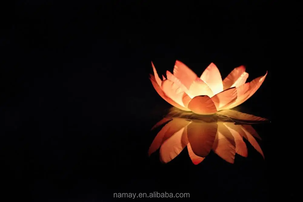 Biodegradable Floating Water Lotus Paper Lantern - Buy Lotus Lantern ...