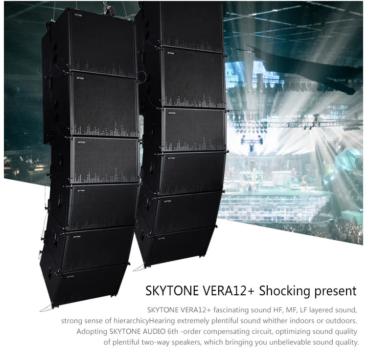 Skytone Audio VERA12+ Line Array Speakers - 800W Power