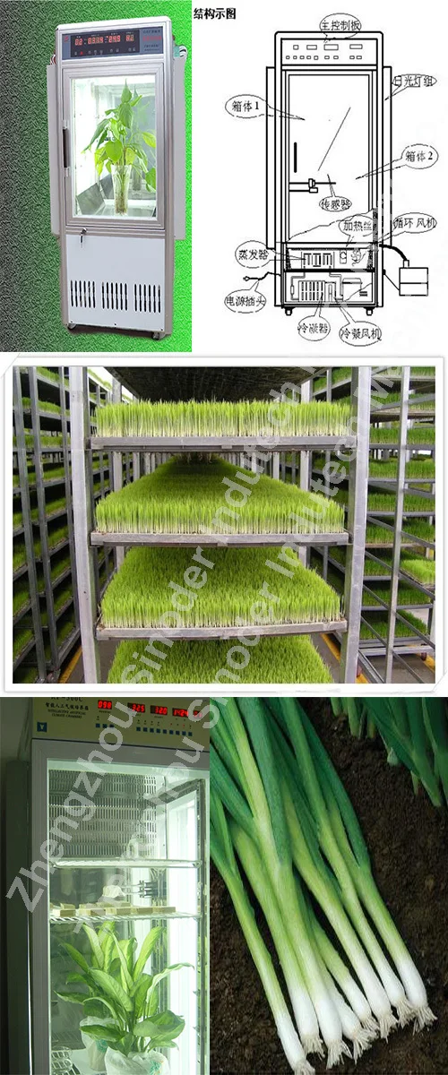 Seeds Germination Incubator Seeds Sprouting Machine Seed Incubator - Buy Seed Incubator,Seed ...