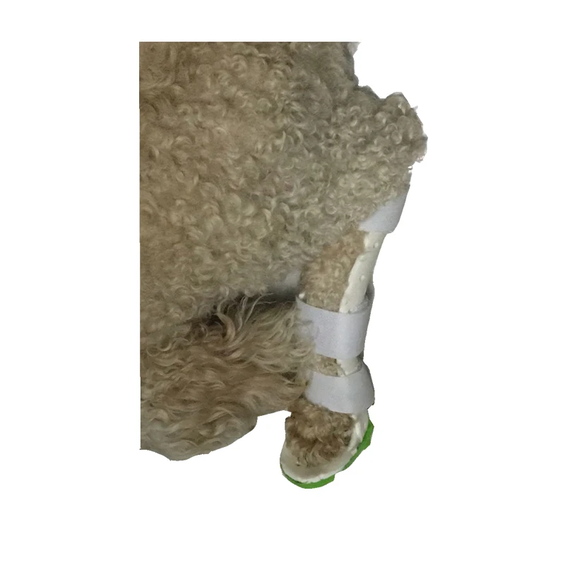 Veterinary Splint Thermoplastic Orthopedic Splint Material For Dogs ...