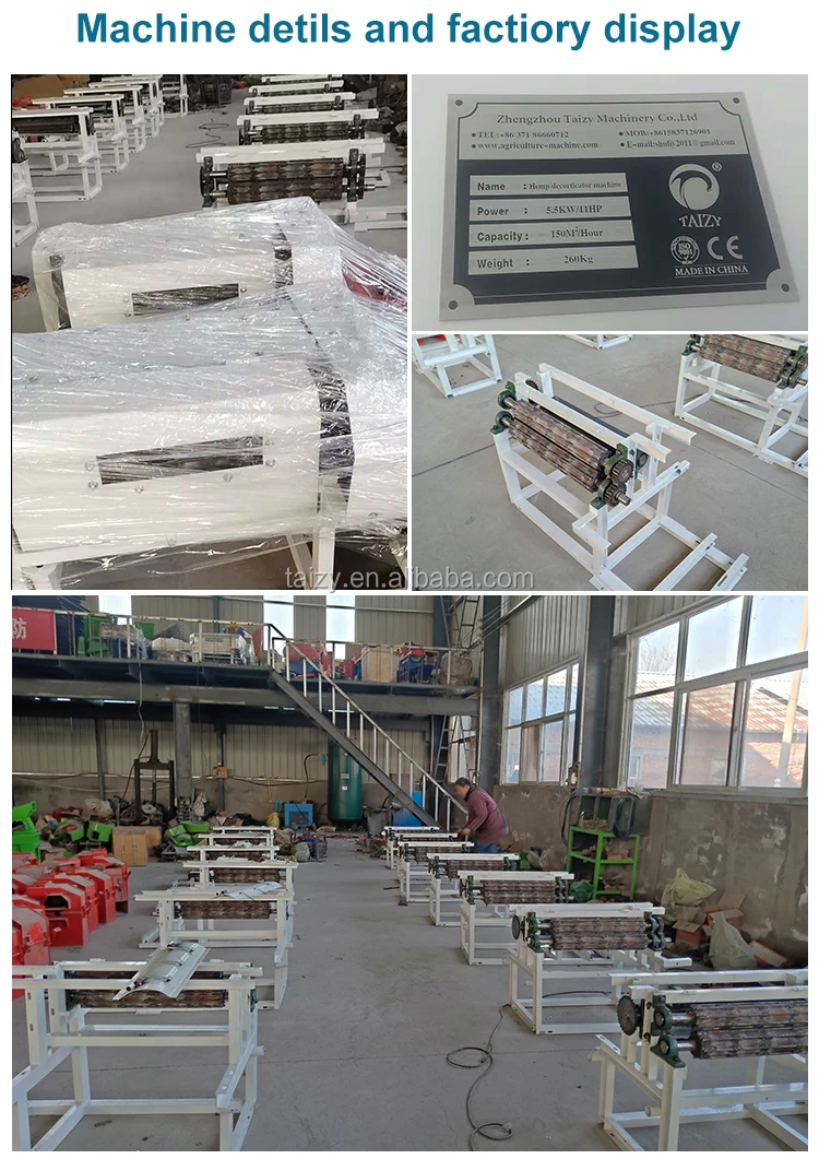 Kenaf Ramie Fiber Processing Machinery - Hemp Decorticator