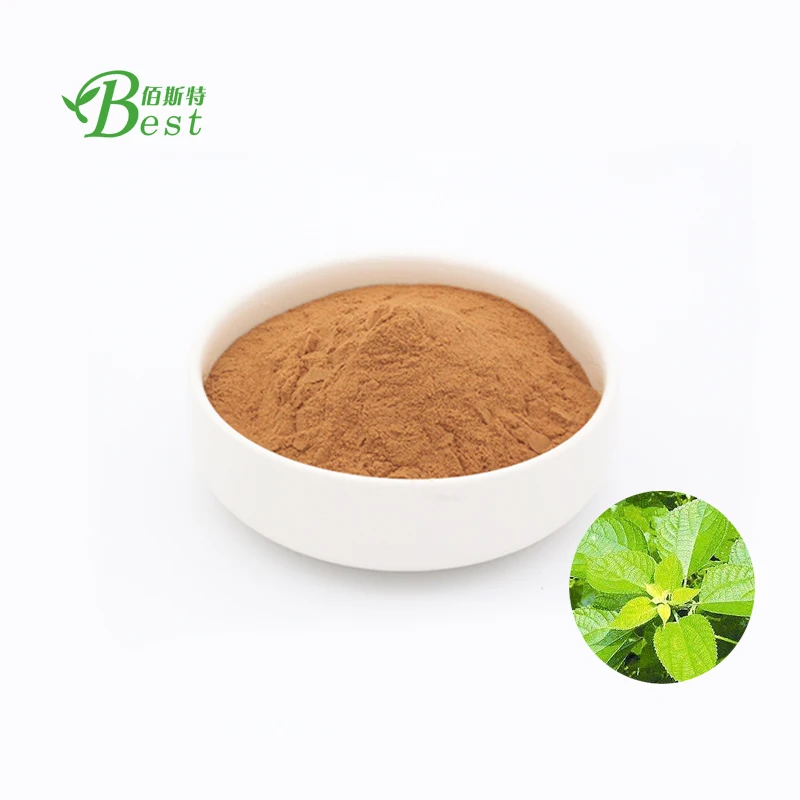 High Quality Ramie Leaf Extract/ Boehmeria Nivea/ Ramie Powder 20:1 ...