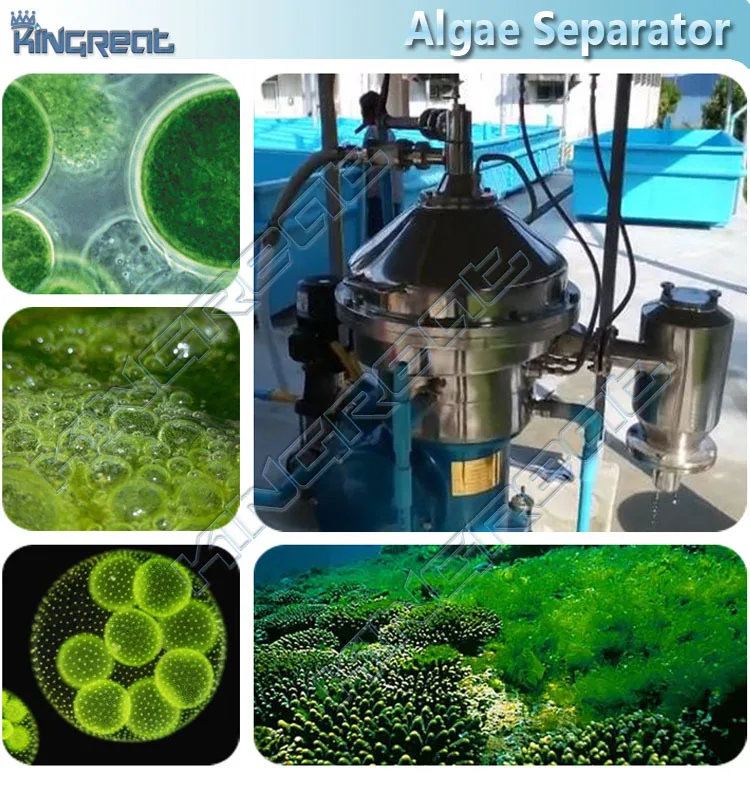 Various Capacity Vertical Concetration Type Algae Disc Centrifuge - Buy ...
