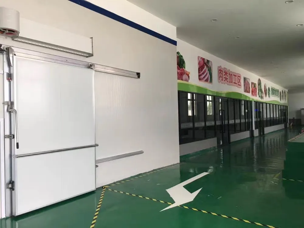 100mm Cold Room Ceiling And Wall Pu Insulation Panels With White Ppgi ...