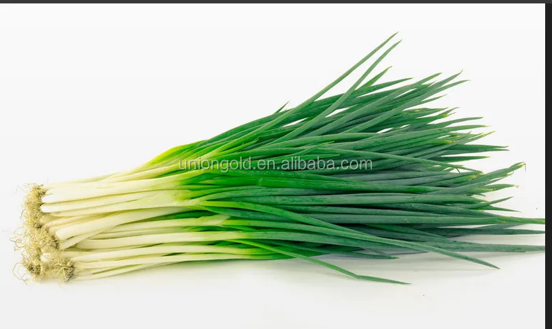 Frozen Chinese Chives /spring Onion Slices (4-6mm) - Buy Frozen Spring ...