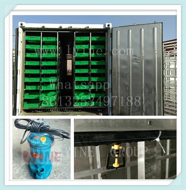 Daily Output 500kg Full Automatic Barley Sprouting Machine/ Bean Sprout ...