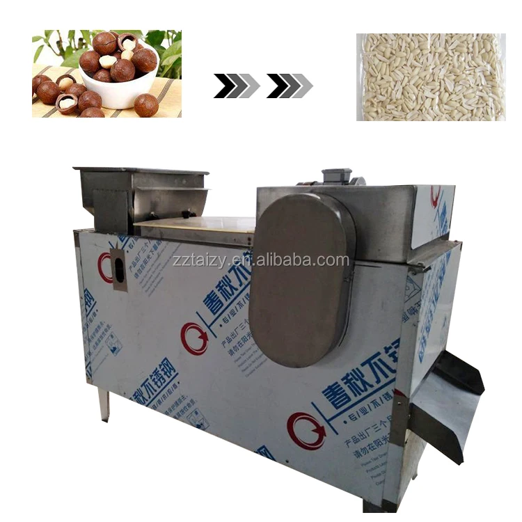 Peanut Bar Cutting Machine Areca Nut Cutting Machine Cashew Nut Cutting ...