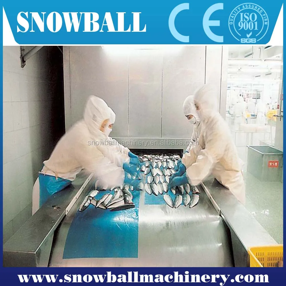 CE Approved Industrial Blast Freezers for High Productivity