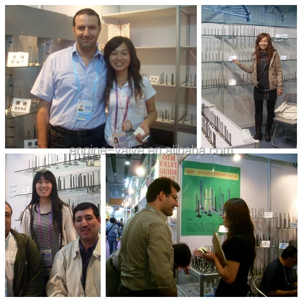 Engine Valve For K4j K4m K4p - Buy Engine Valve K4j K4m K4p 7701471378 ...