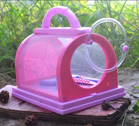Children's Insect Box; Insect Rearing Cage For Outdoor Scientific ...