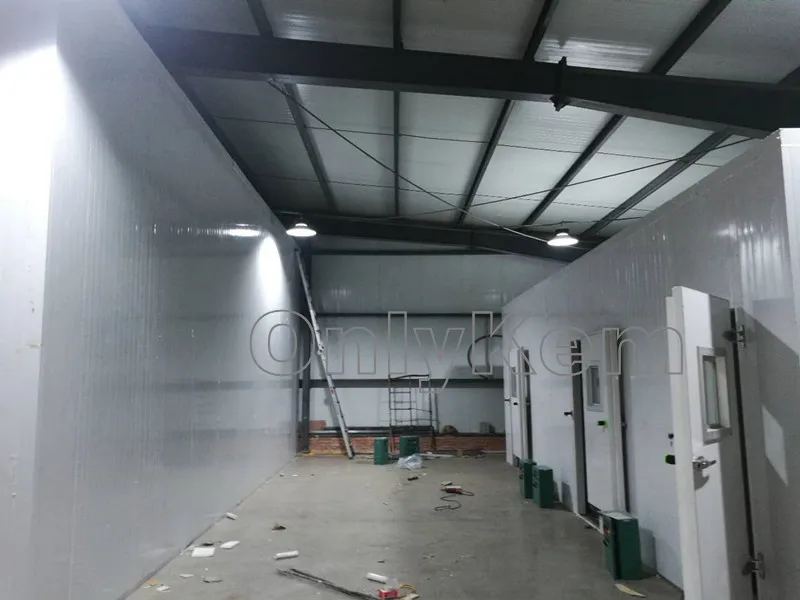 Banana Ripening Room - Efficient Cold Storage Solutions