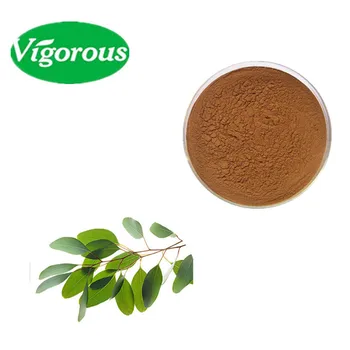 Organic Eucalyptus Extract Powder/3%rutin Eucalyptus Leaf Extract - Buy ...