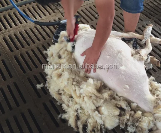 Animal Hair Cut Scissors,Sheep Hair Clipper /electric Heated Scissors ...