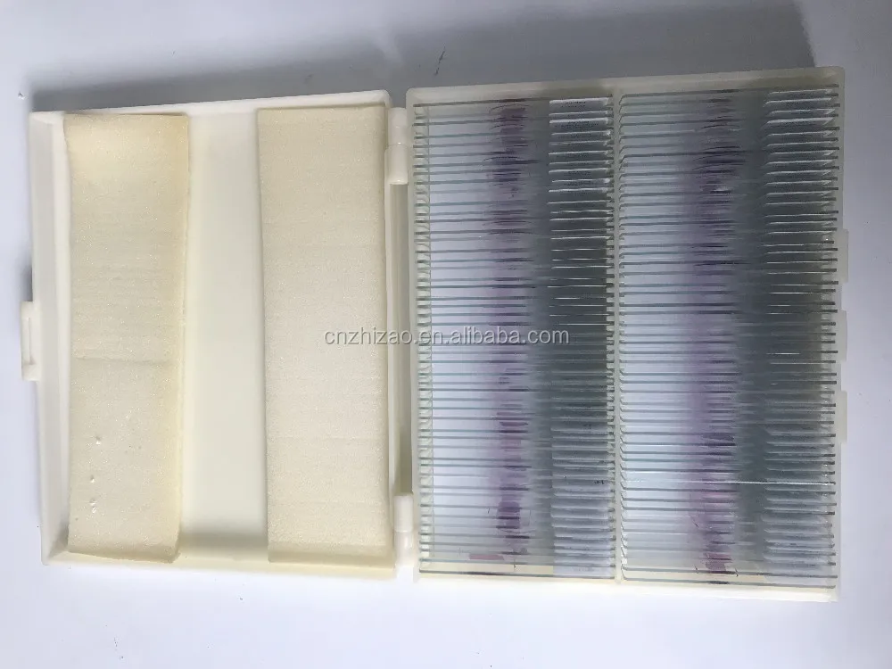 100pcs Human Disease Pathology Slides - Educational Tools