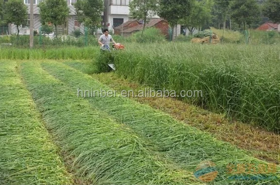 Grass Reaper Machine For Tractor Wheat Rice Reaper Binder Mini Tractor ...