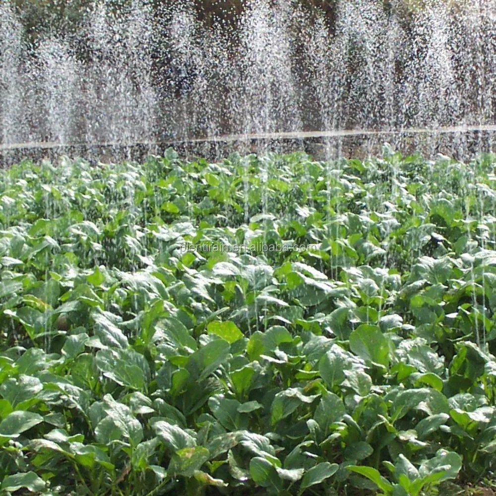 Plentirain Micro Spray Tape - Efficient Irrigation Solutions