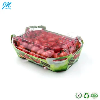 Custom Plastic Cardboard Boxes For Fruit Punnet Packaging Container ...