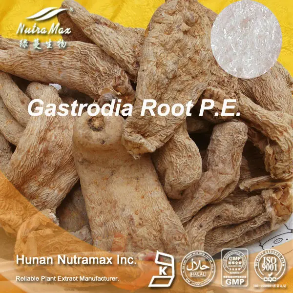 Nutramax Supply Gastrodia Tuber Extract/gastrodia Root P.e./rhizoma ...