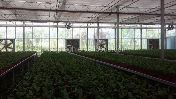 Greenhouse Mist Irrigation System, High Quality Greenhouse Mist ...