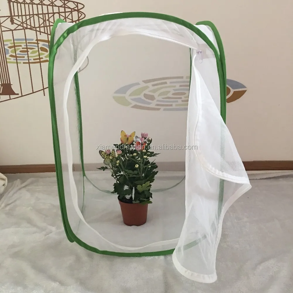 Folded Green Acrylic Mesh Insect Screen Cage - Eco-friendly