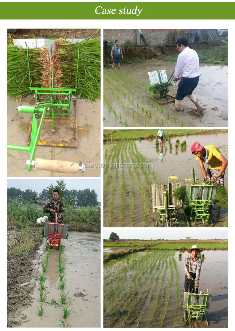 Hand Held Rice Transplanter Price Philippines - High Accuracy