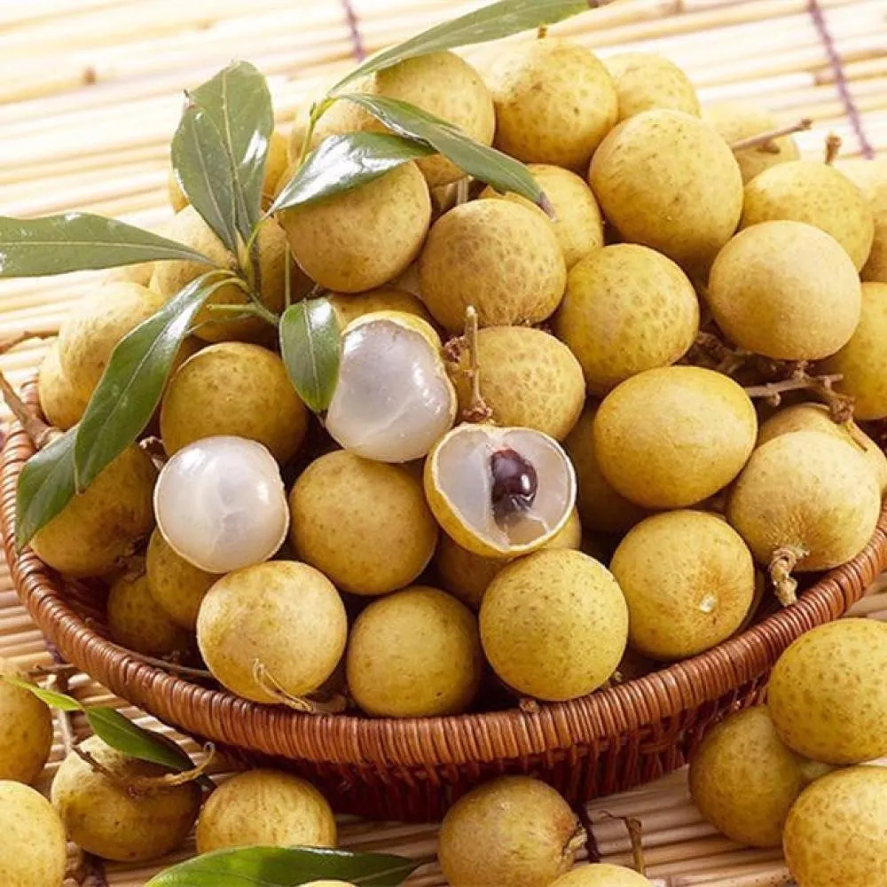 2018 Zhangzhou Canned Longan For Sale - Buy Canned Longan,Longan,Dried ...