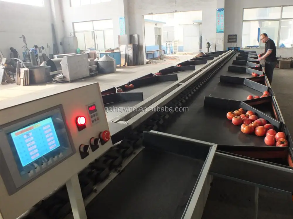Automatic Tomato Grading Sorting Machine Auto Tomatoes Weight Sorter ...
