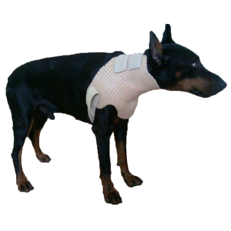 Lttp Low Temperature Thermoplastic Splinting Material Veterinary Used ...