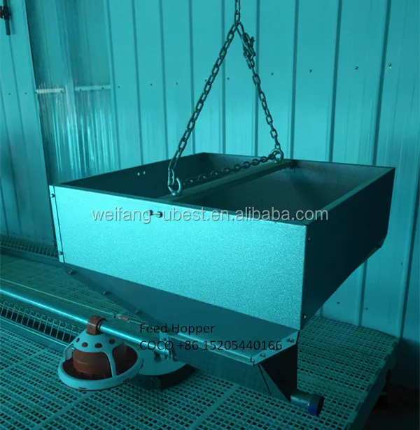 U-best Poultry Auger Feeding System - Automatic & Efficient