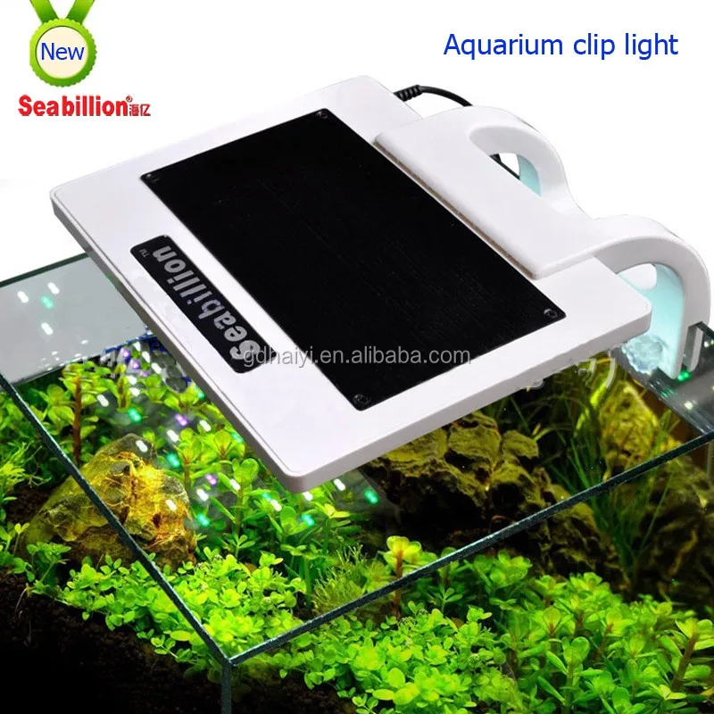 Acrylic Fish Tank Bowl - Mini Aquarium with Sustainable Stocking