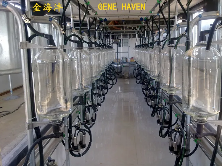 Upgrade Your Old Milking Parlour with Glass Milk Recorder