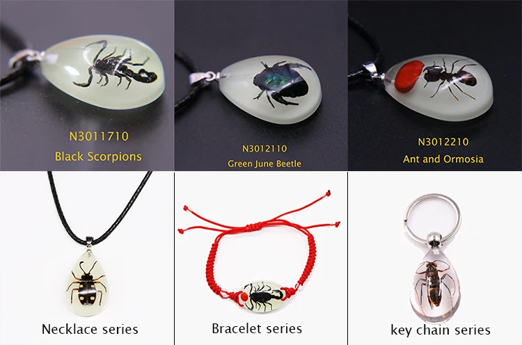 Acrylic Key Chain Real Insect Inside Epoxy Resin Key Ring Amber Key ...