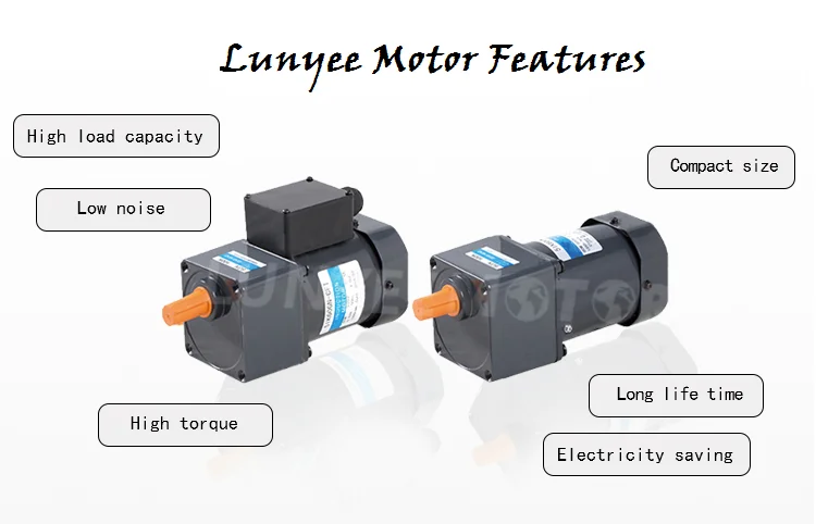 120W Low RPM Electric AC Gear Motor with Reversible Feature