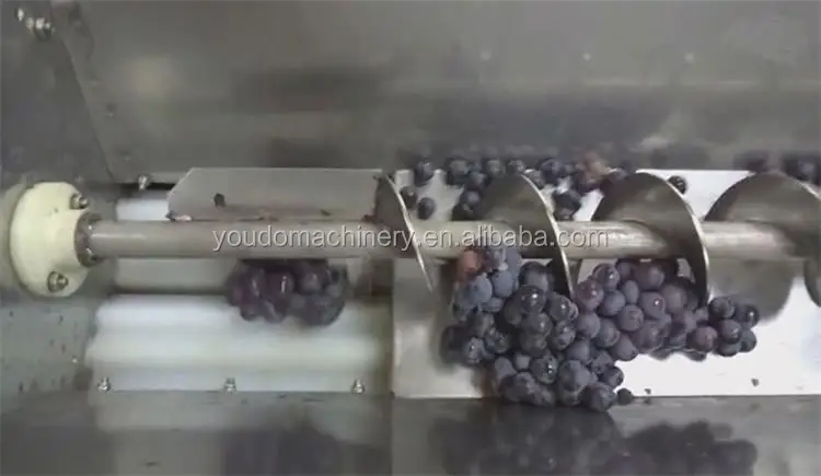 Grape Stemming Machine Grape Stemmer Crusher Grape Stem Remove Machine ...
