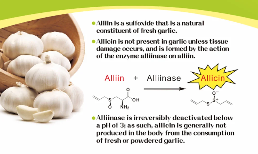 Factory Supply Allicin Alliin Odorless 100% Pure Garlic Extract /lipid ...