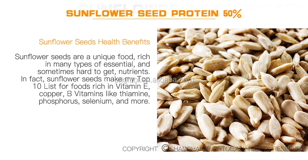 Functional Health Food Products Sunflower Seed Protein - Buy High ...