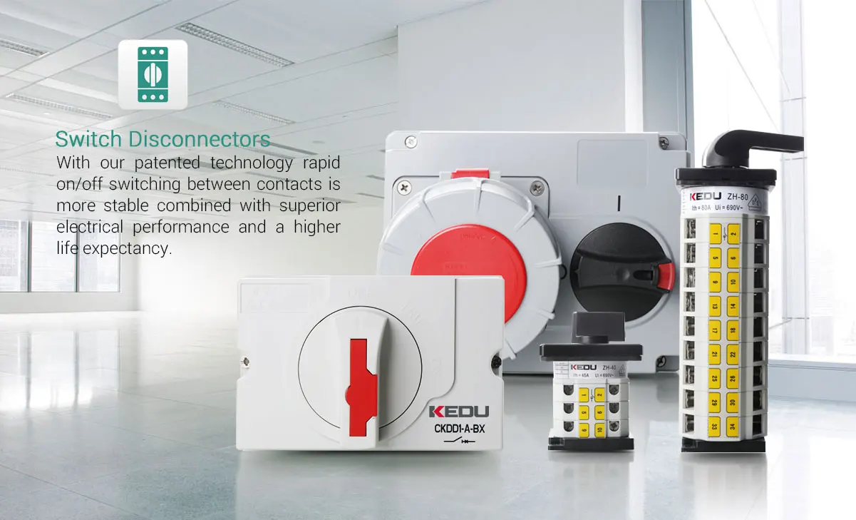 Kedu Electric Co., Ltd. - Power Tool Switch, Pushbutton Switch