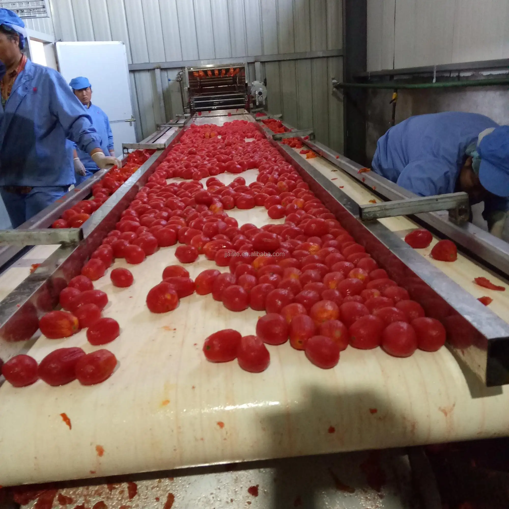 Stainless Steel Industrial Tomato Peeling Machine / Tomato Steam Peeler ...
