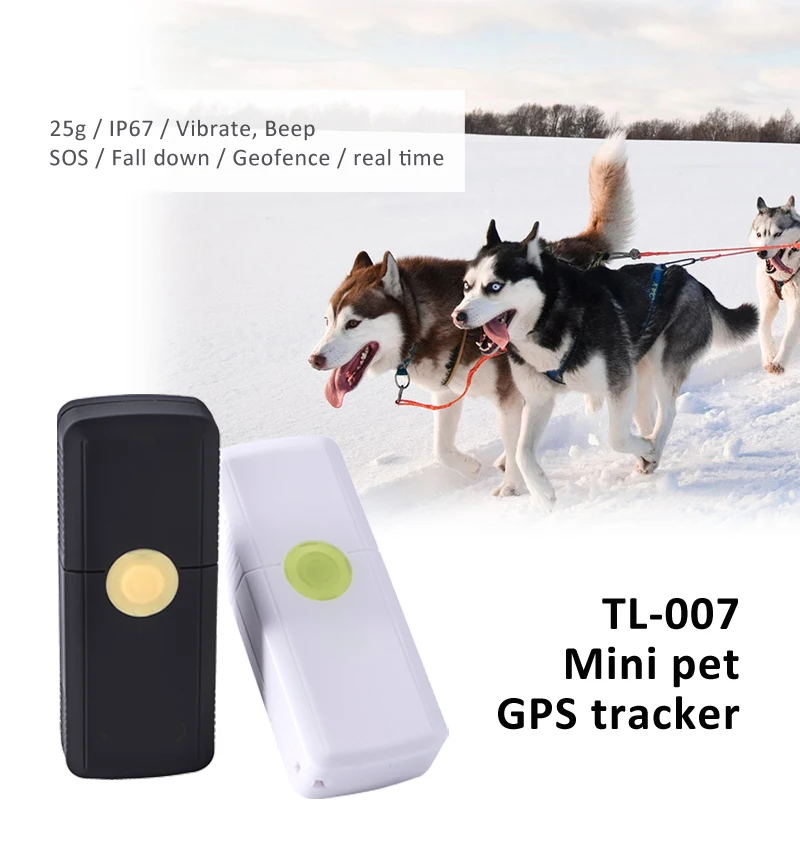 Smallest Gps Tracker For Pigeon Birds With Gsm Alarm Pet Gps Tracking ... Smallest Gps Tracker For Pigeon Birds With Gsm Alarm Pet Gps Tracking ...