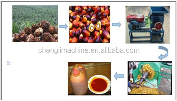 Palm Fruit Processing Machine - Buy Palm Fruit Processing Machine,Palm ...