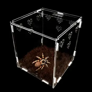 High Quality Acrylic Spider Reptile Cage With Cheap Price - Buy Acrylic ...
