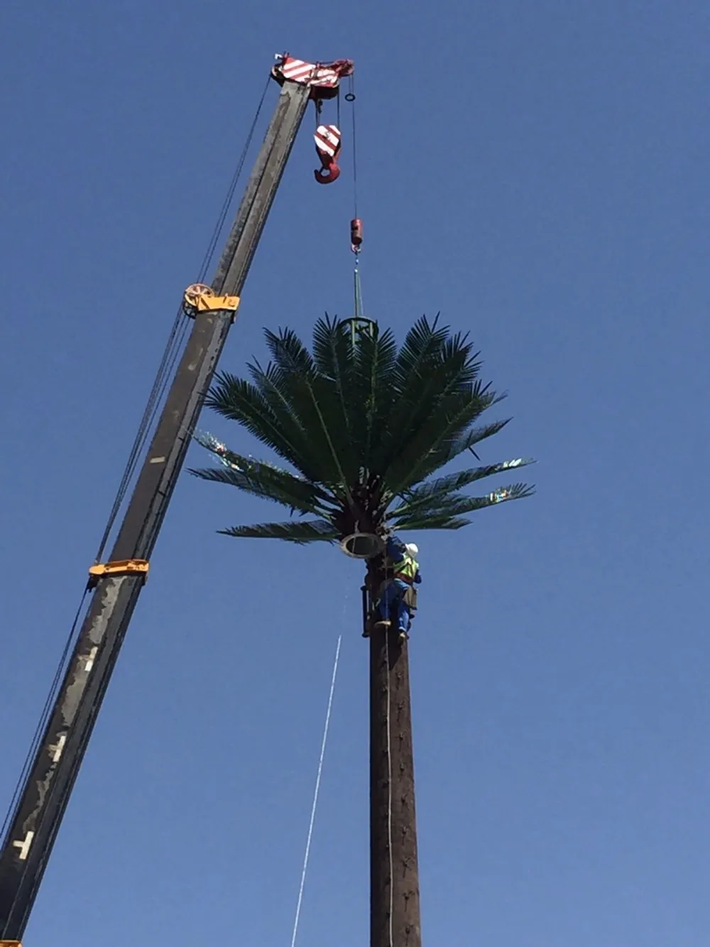 Camouflaged Palm Tree Telecom Tower - Buy Bionic Tree Wifi Tower ...