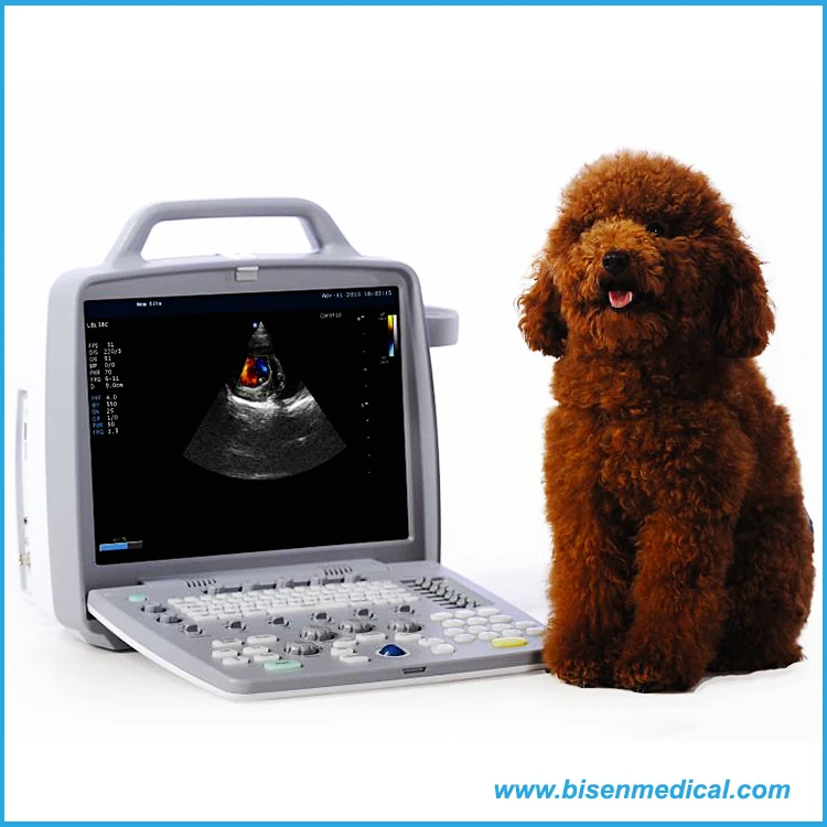 Bs-8800+vet Portable Veterinary High Quality 3d4d Image Color Doppler ...