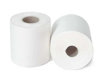 2 Ply High Absorbent Flushable Paper Towels - Virgin Pulp