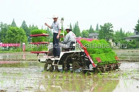 6 Rows Rice Transplanter Planting Machine| Alibaba.com